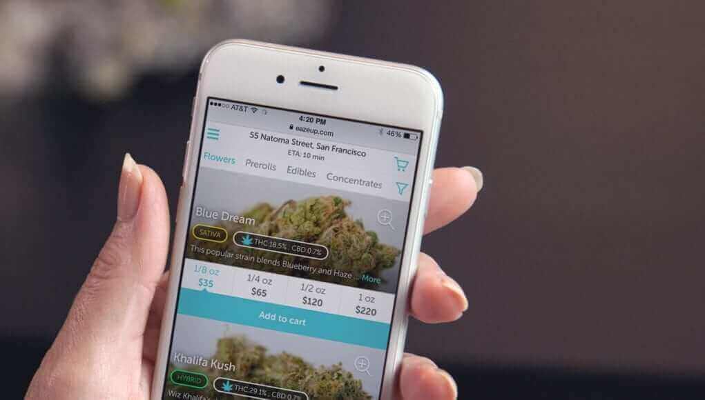 4 Powerful Features for Weed Delivery App Development